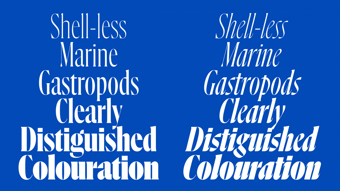 Typefaces